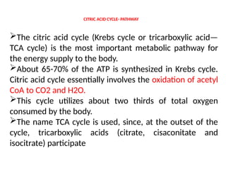 Citric acid cycle- Pathway, energetics and significance | PPTX