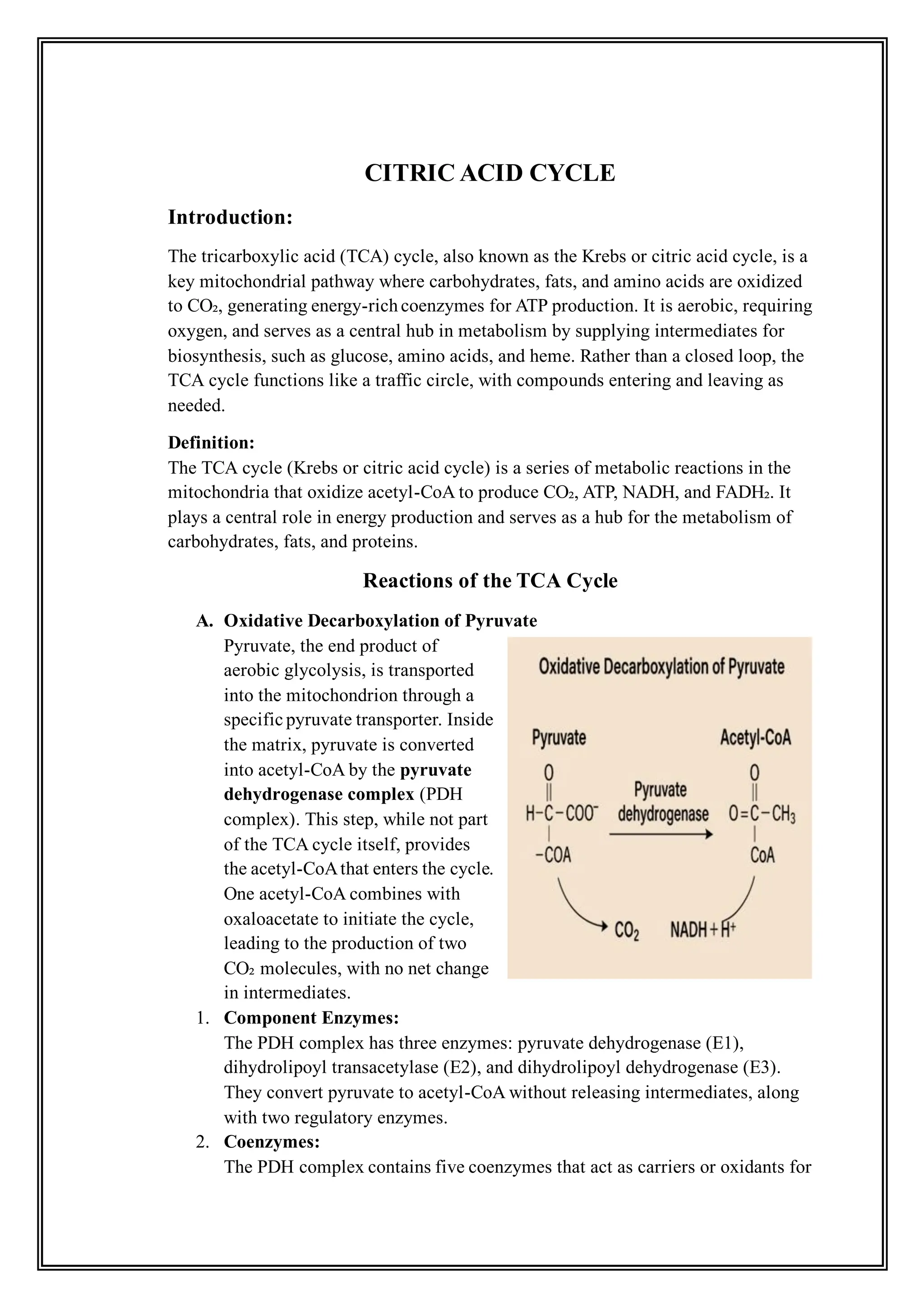 Steps of Citric Acid Cycle, or Kreb's cycle | PDF