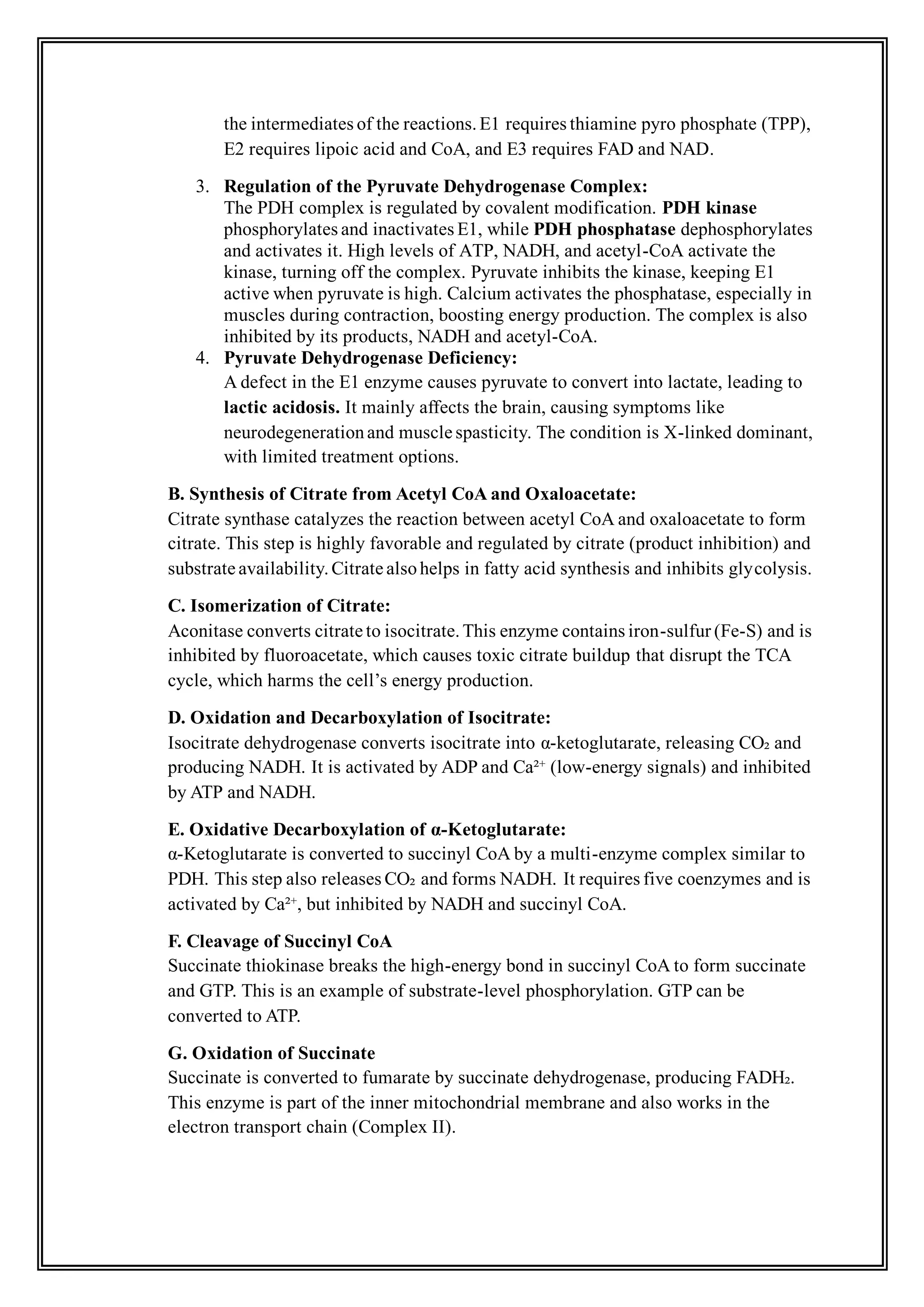 Steps of Citric Acid Cycle, or Kreb's cycle | PDF