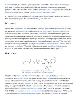 Citric acid cycle - describe by Ganga Kh | PDF