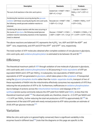 Citric acid cycle - describe by Ganga Kh | PDF