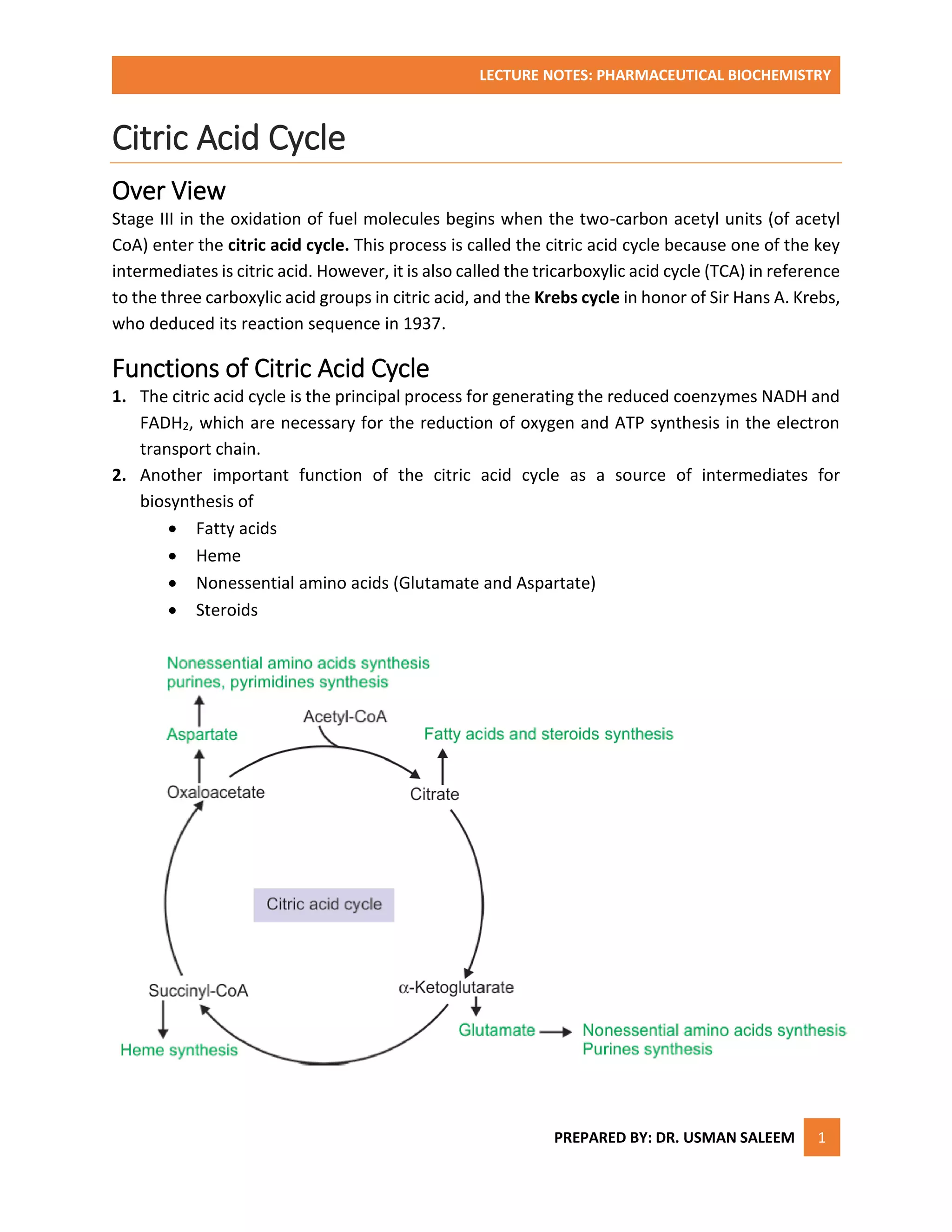 Citric acid cycle (2) | PDF