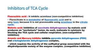 Citric acid cycle, krebs cycle, by Dr atindra pandey | PPT