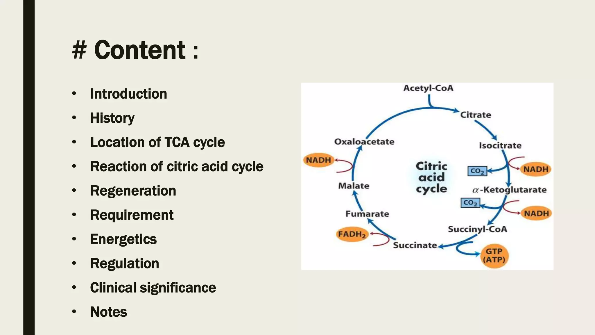 Citric acid cycle krebs cycle or tricarboxylic acid | PPT