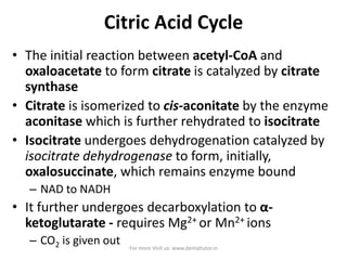 Citric acid cycle | PPTX
