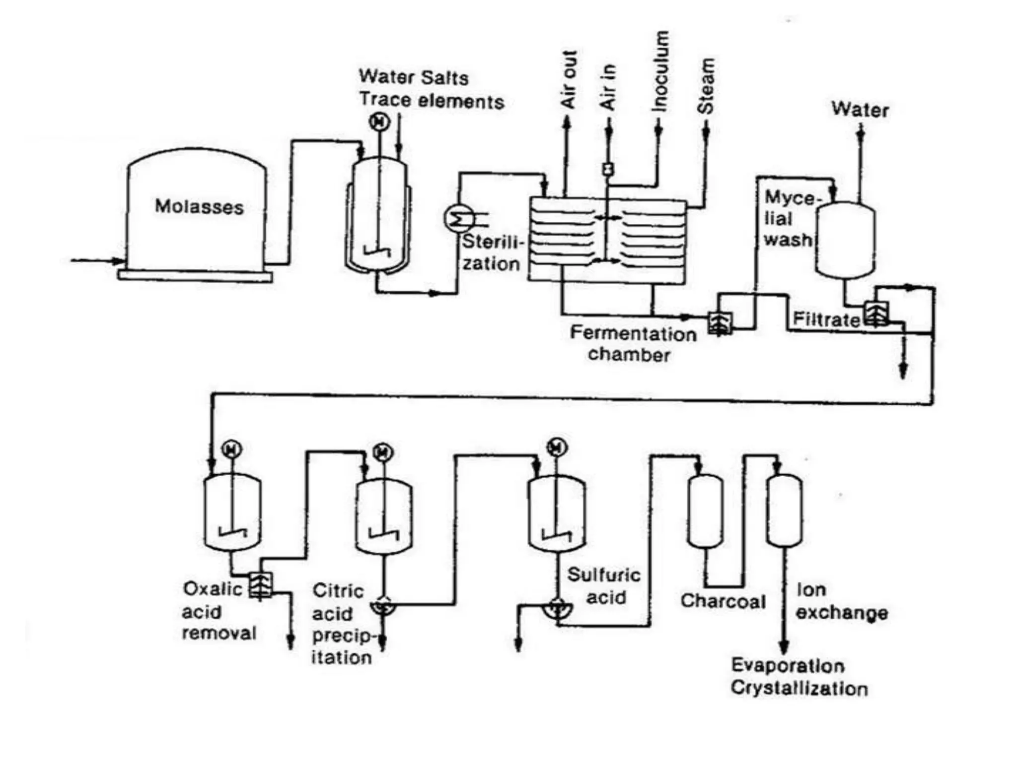 Citric Acid Production | PPTX