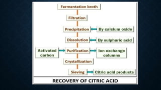 Citric acid production | PPTX
