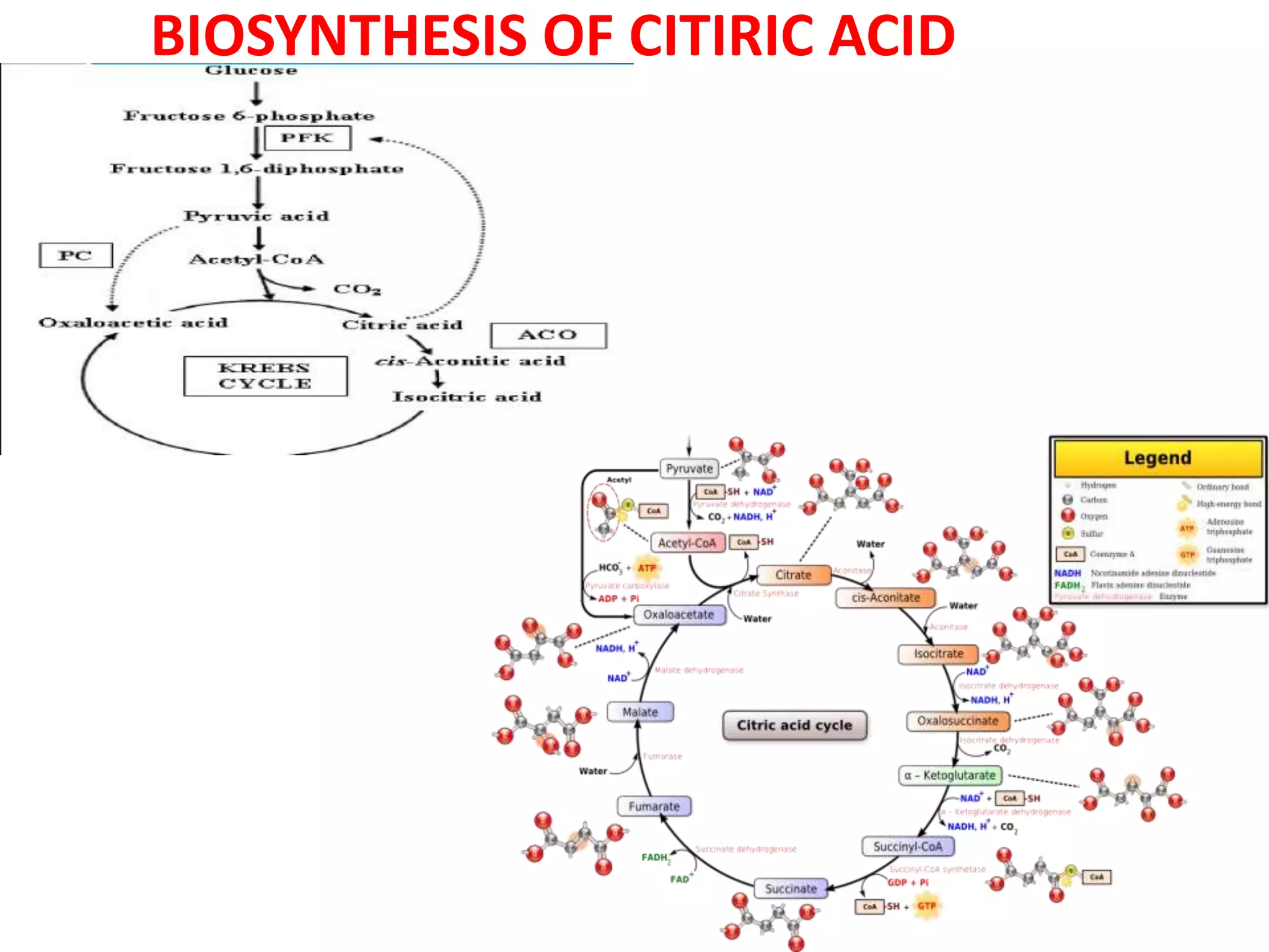 Citric acid production | PPTX