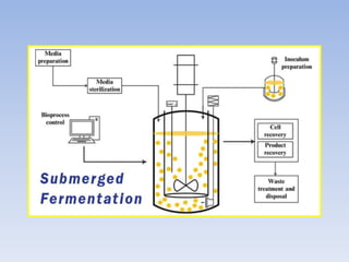 Citric acid production | PPTX