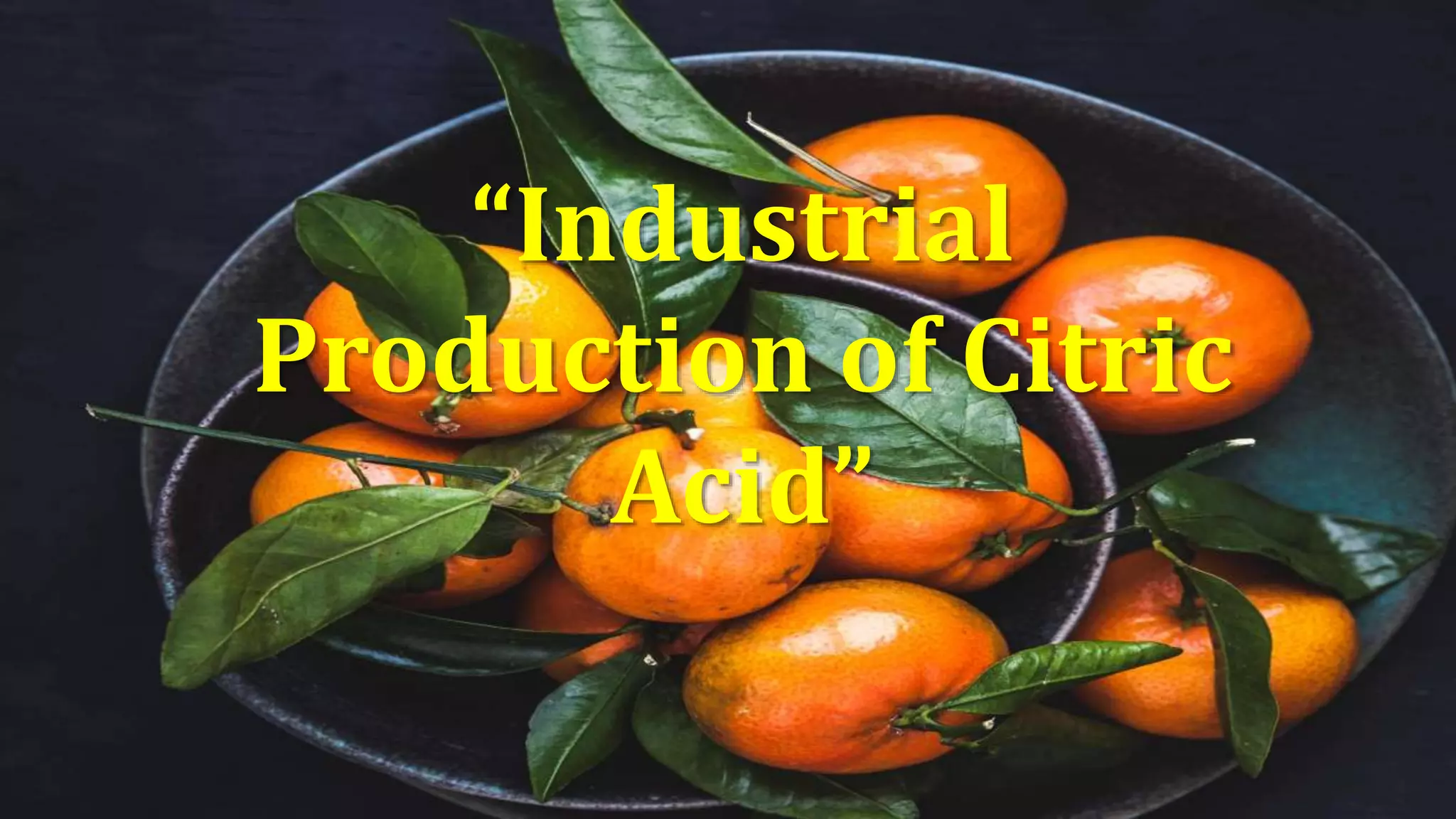 citricacid production.pdf