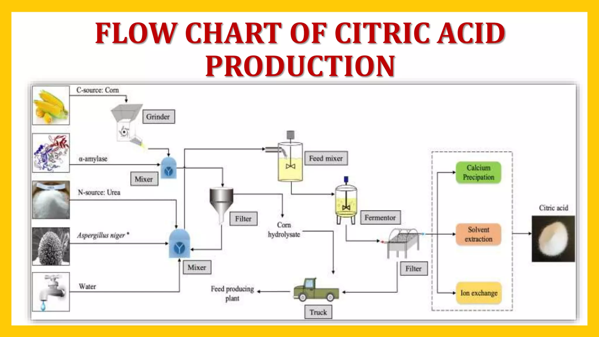 citricacid production.pdf