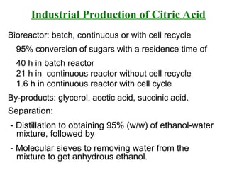Citric Acid Report (details of Production Processes) | PPT