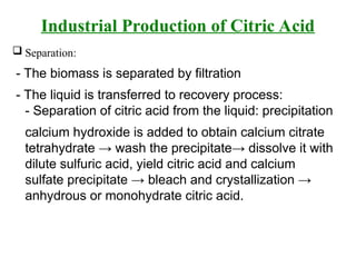 Citric Acid Report (details of Production Processes) | PPT