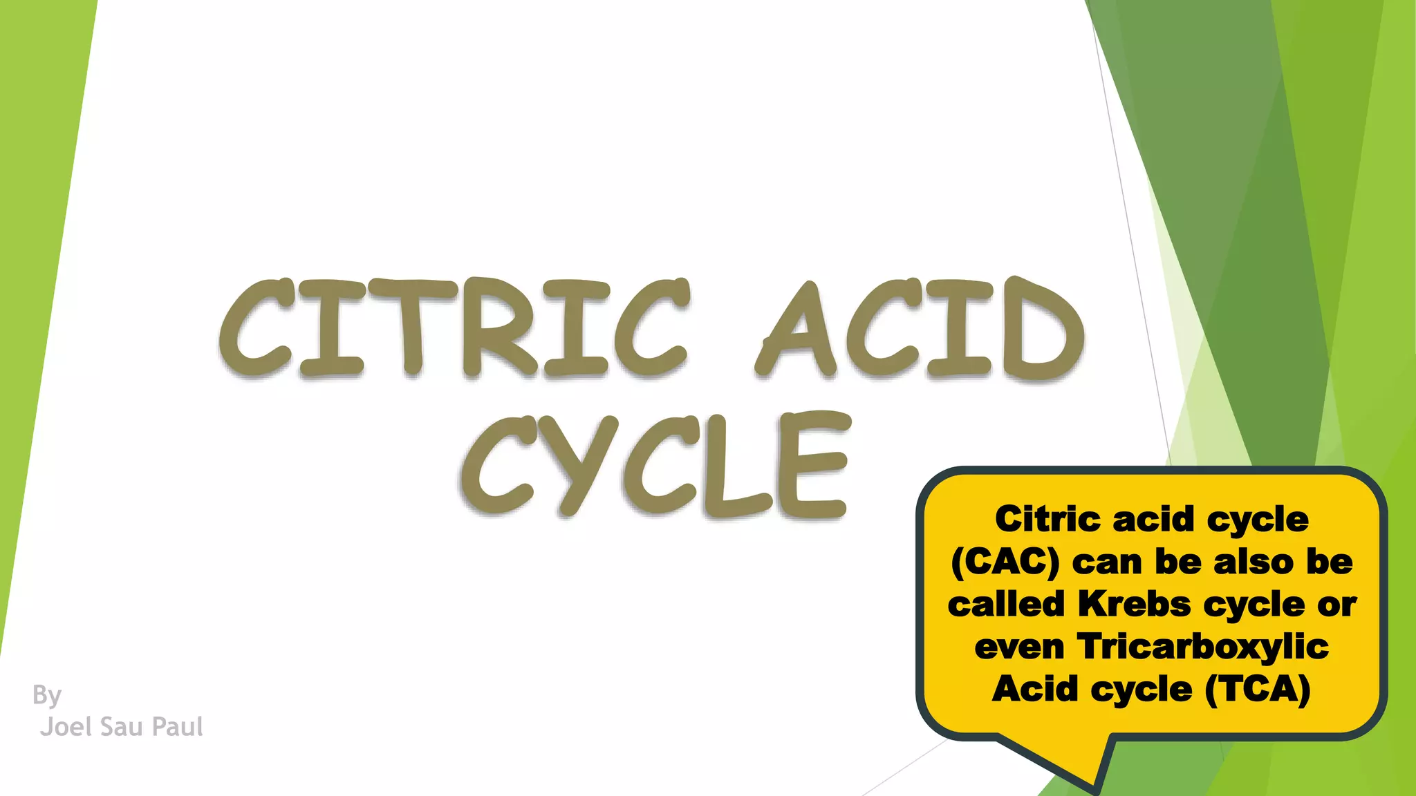 Citric cycle or Kerbs cycle | PPT