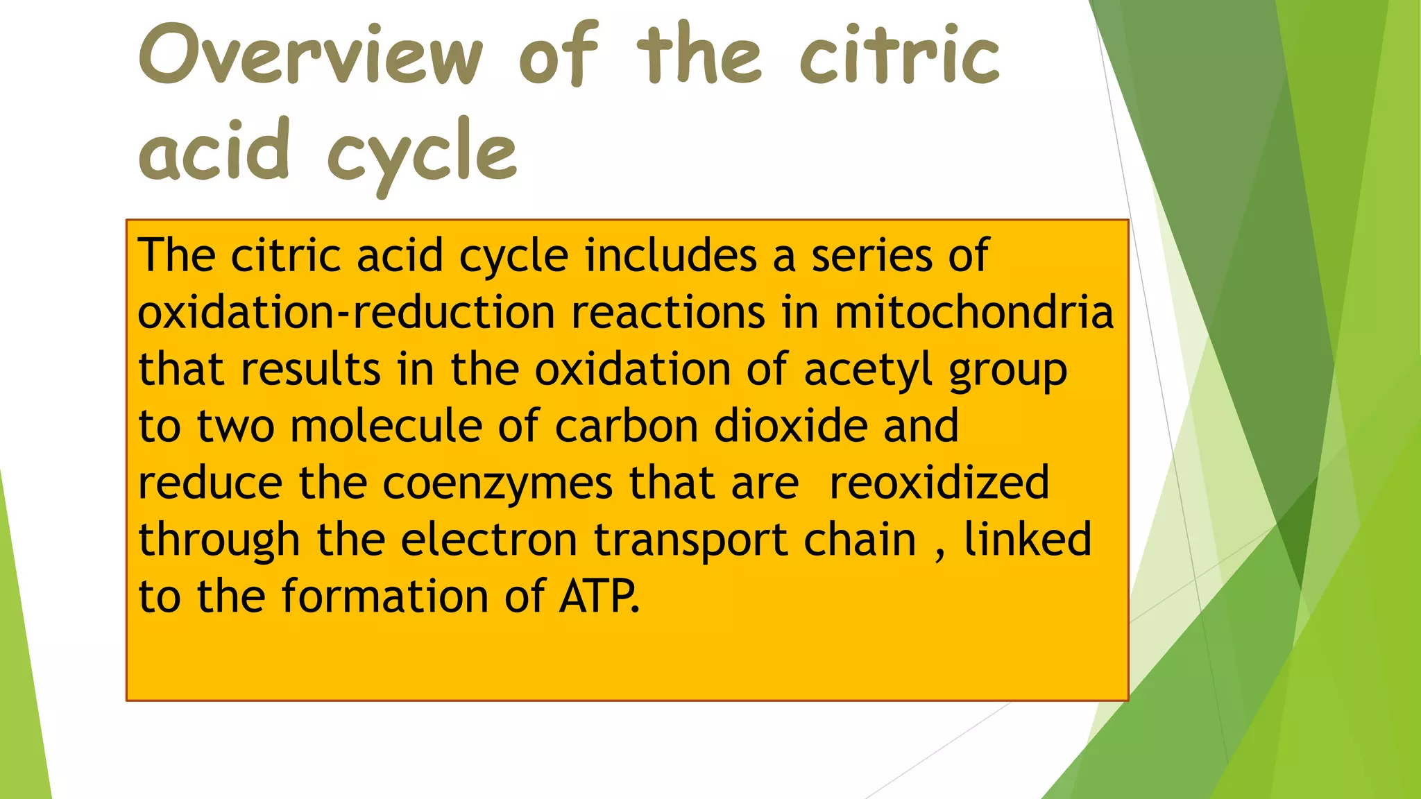 Citric cycle or Kerbs cycle | PPT
