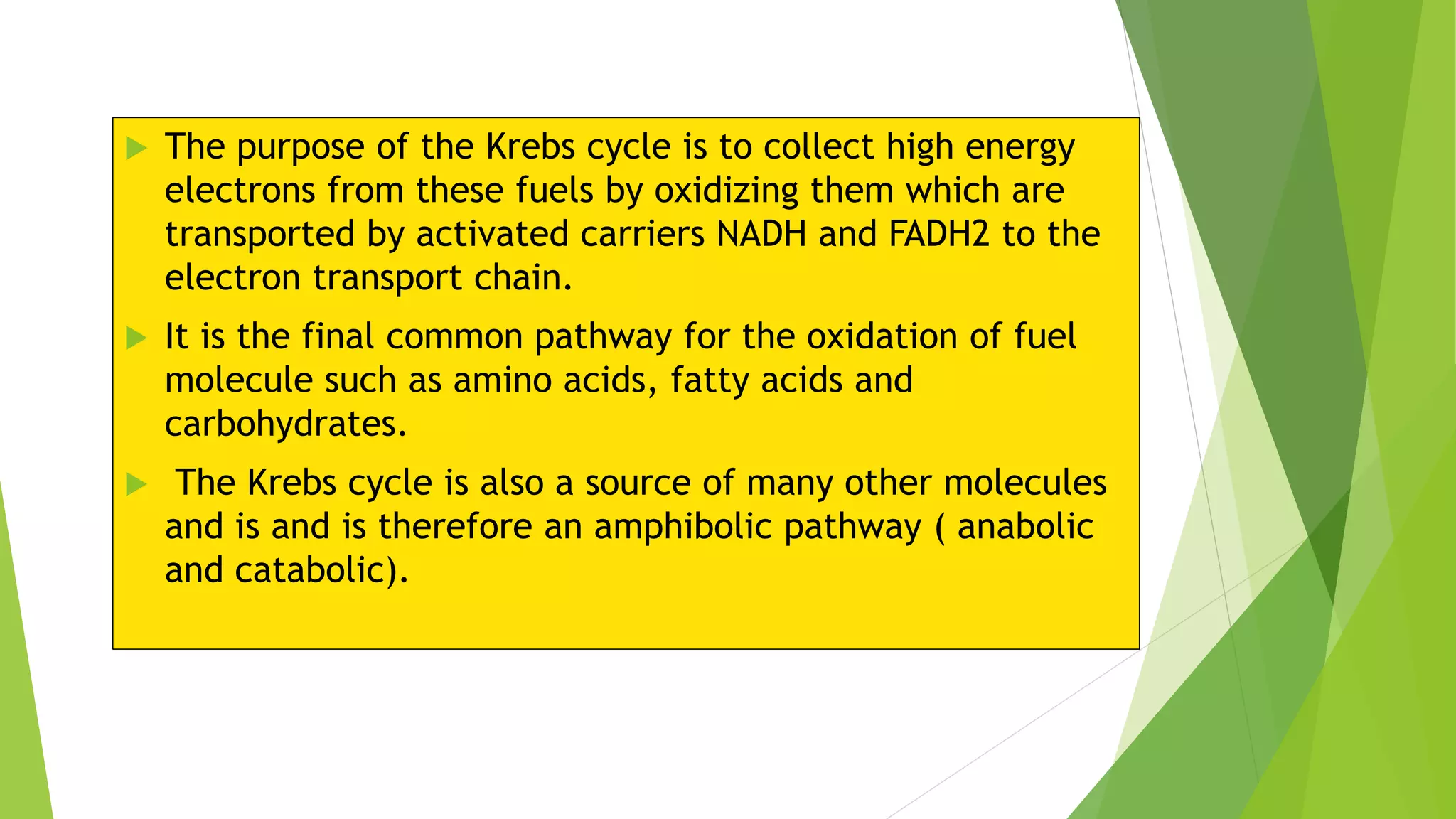Citric cycle or Kerbs cycle | PPT