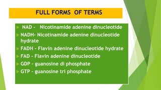 Citric cycle or Kerbs cycle | PPT
