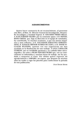 Citricos | PDF