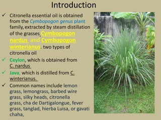 Citronella oil | PPTX