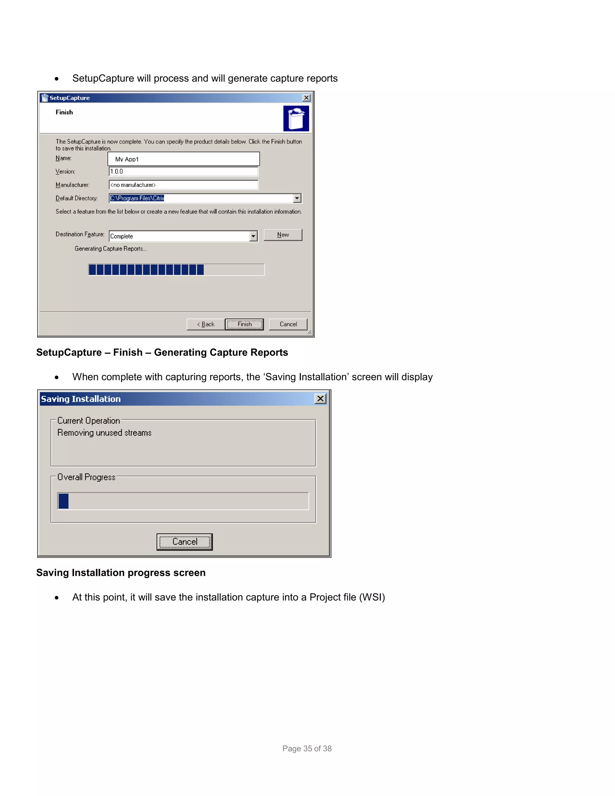 Citrix Application Management Framework | PDF