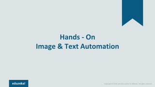 UiPath Citrix Automation | Image and Text Automation in UiPath | UiPath ...
