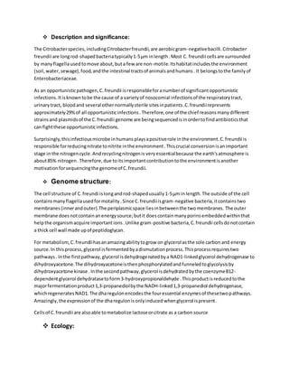 Citrobacter | DOCX