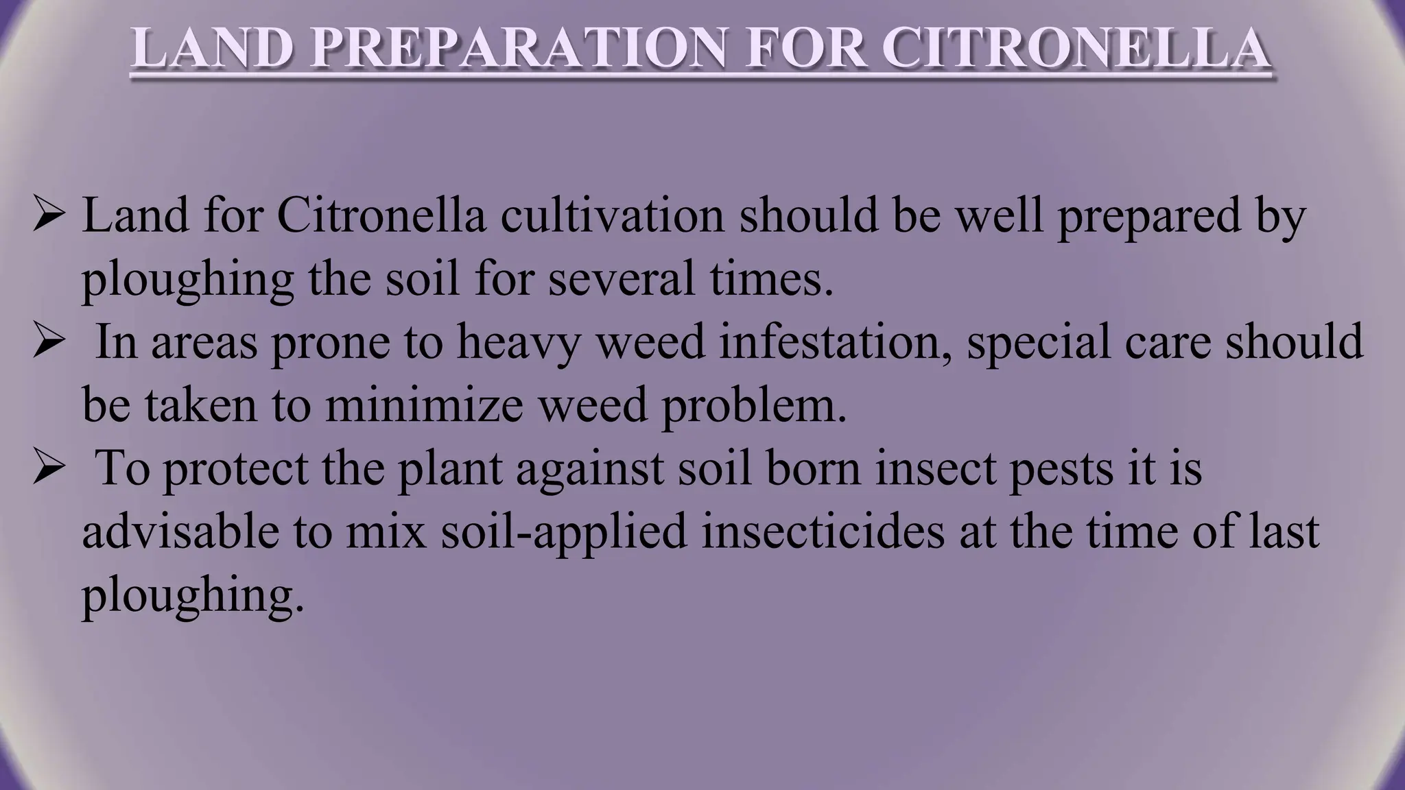 Citronella presentation SlideShare mani upadhyay | PPTX