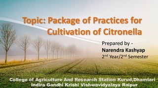 Package of practices for cultivation of Citronella | PDF