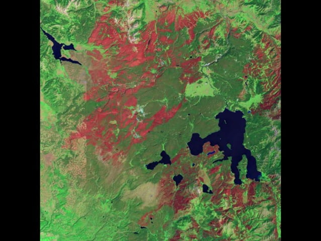 Dropping Science on Your Developer Ecosystem - lessons from Ecosystem ...