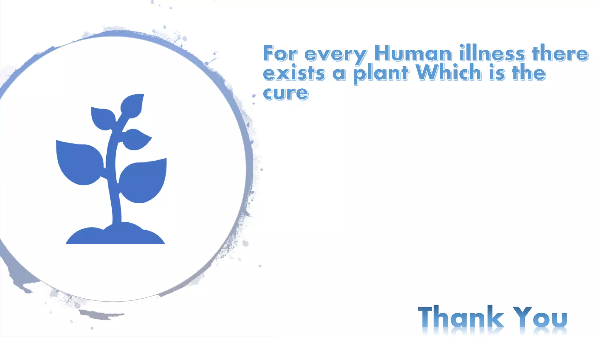 Citrullus colocynthis, Bitter Apple/ Kaura Tumba Use as Medicinal Plant ...