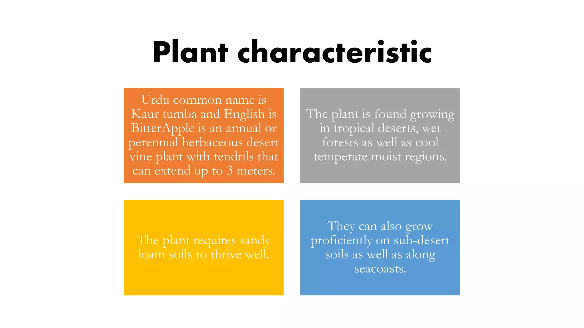 Citrullus colocynthis, Bitter Apple/ Kaura Tumba Use as Medicinal Plant ...