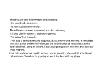 Citrullus colocynthis or Indravaruni herbology | PPTX | Digestive ...