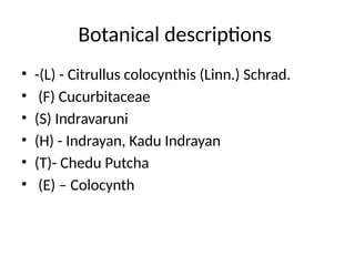 Citrullus colocynthis or Indravaruni herbology | PPTX | Digestive ...