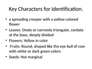 Citrullus colocynthis or Indravaruni herbology | PPTX | Digestive ...