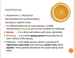 Citrus;types;health benefits;commercial products;economic importance | PPTX