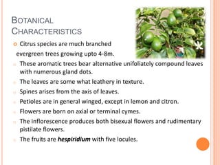 Citrus;types;health benefits;commercial products;economic importance | PPT