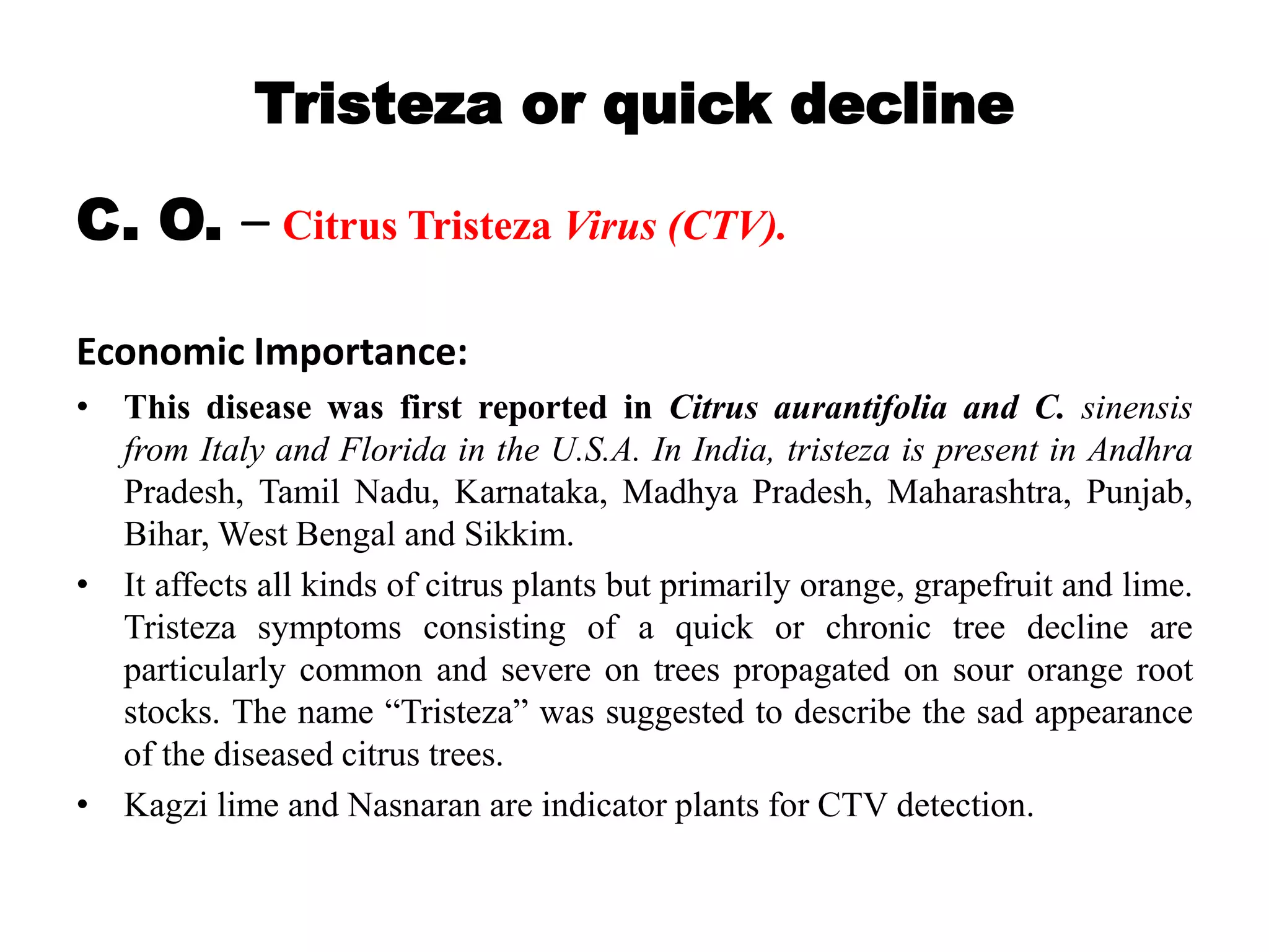 Diseases of Citrus | PPTX