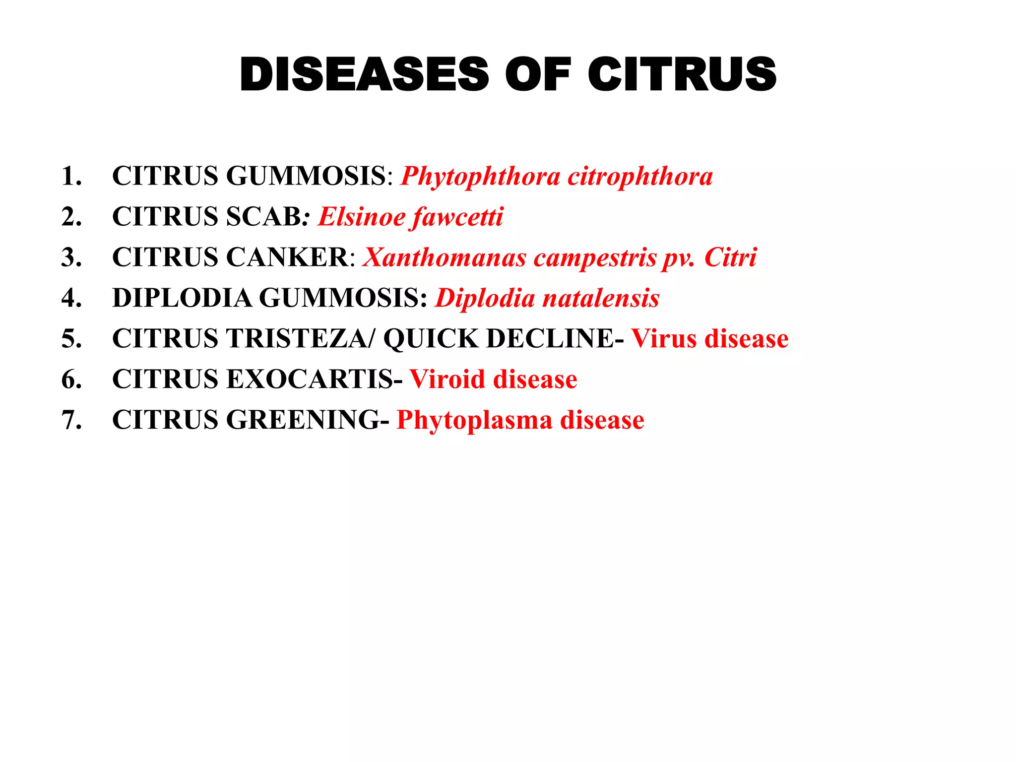 Diseases of Citrus | PPTX