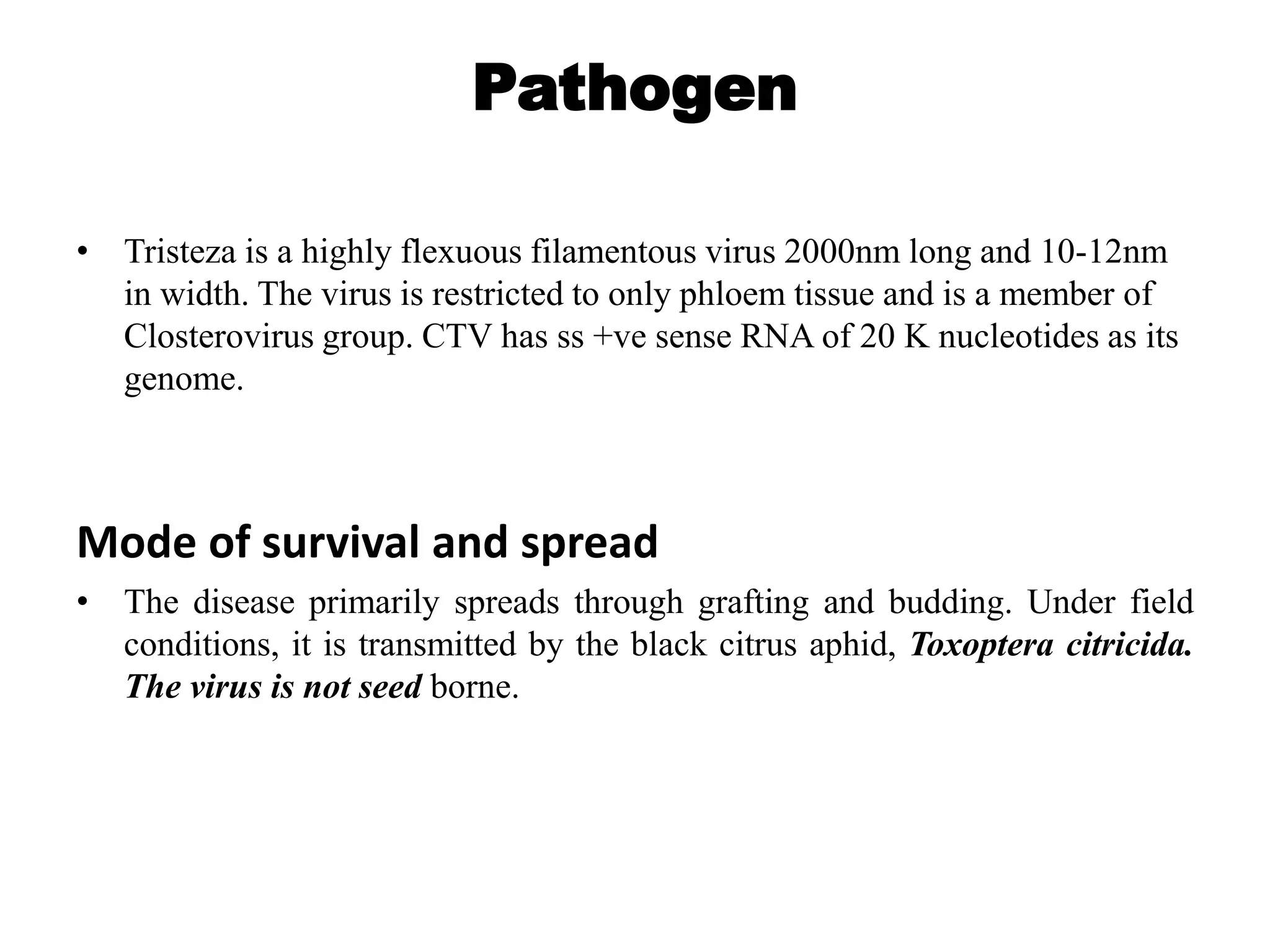 Diseases of Citrus | PPTX