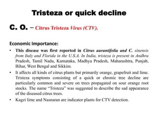 Diseases of Citrus | PPTX