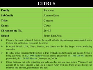 Advances in breeding of citrus crop | PPTX