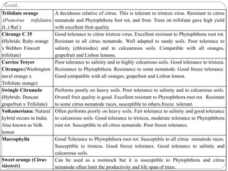 Advances in breeding of citrus crop | PPTX