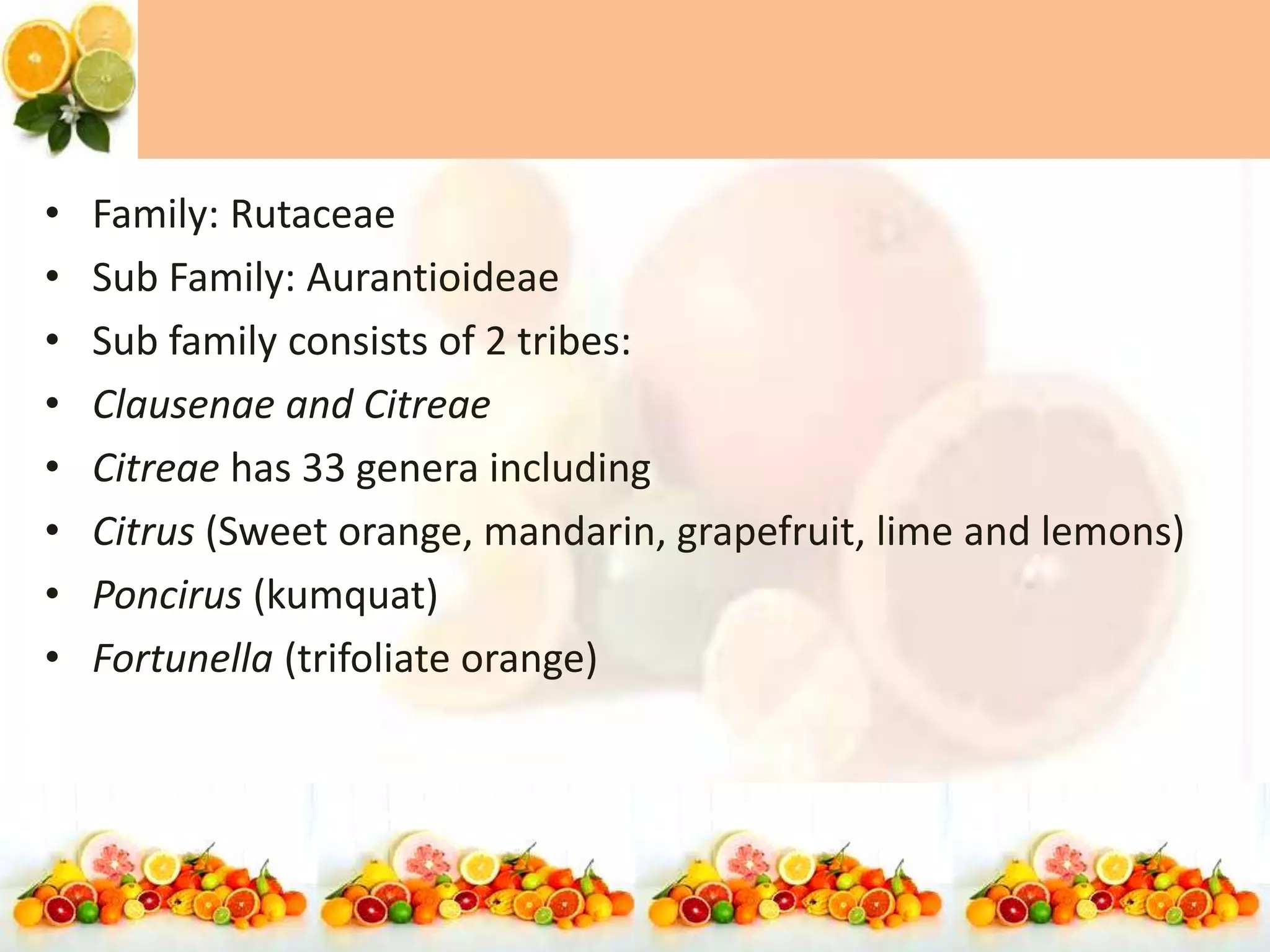 Citrus | PPTX