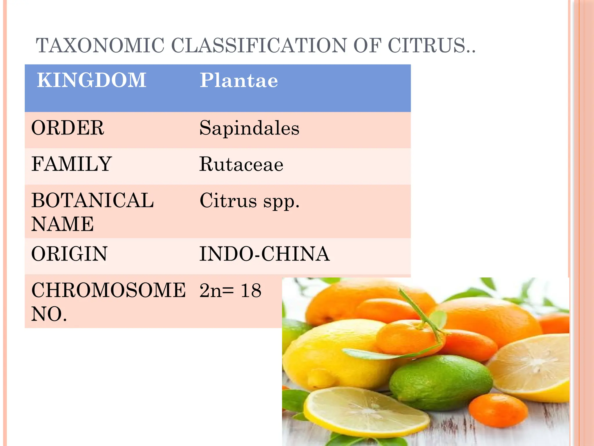 cultivation of citrus fruit............. | PPTX