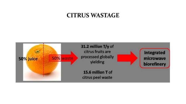Citrus by products | PPTX | Grocery Shopping | Shopping