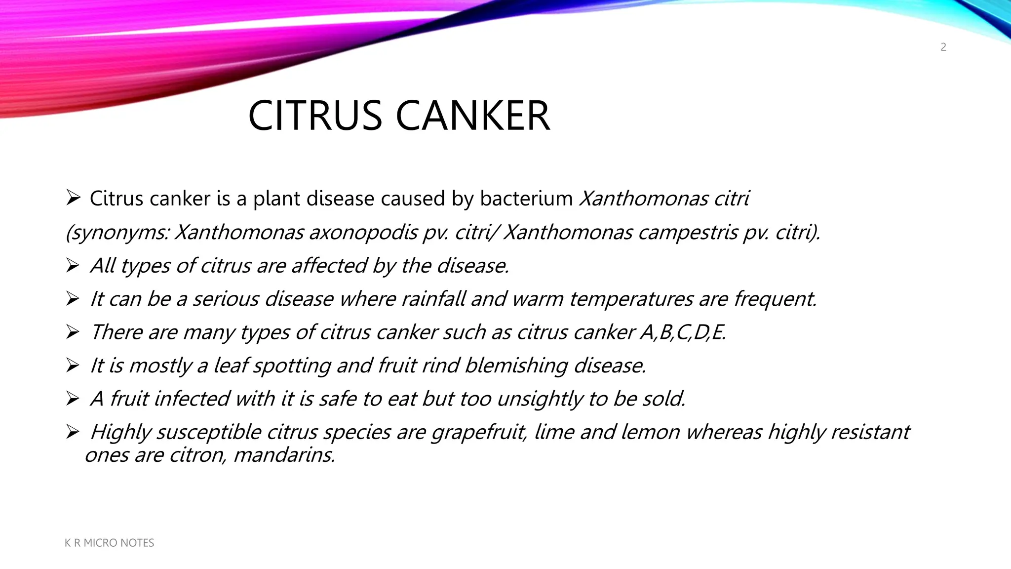 CITRUS CANKER K R.pptx