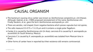 CITRUS CANKER K R.pptx