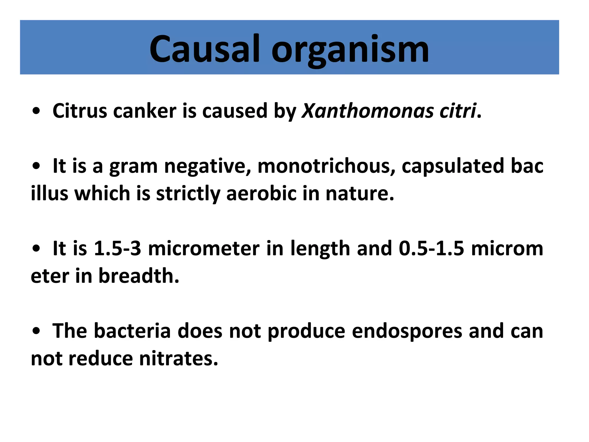 Citrus canker ppt | PPTX