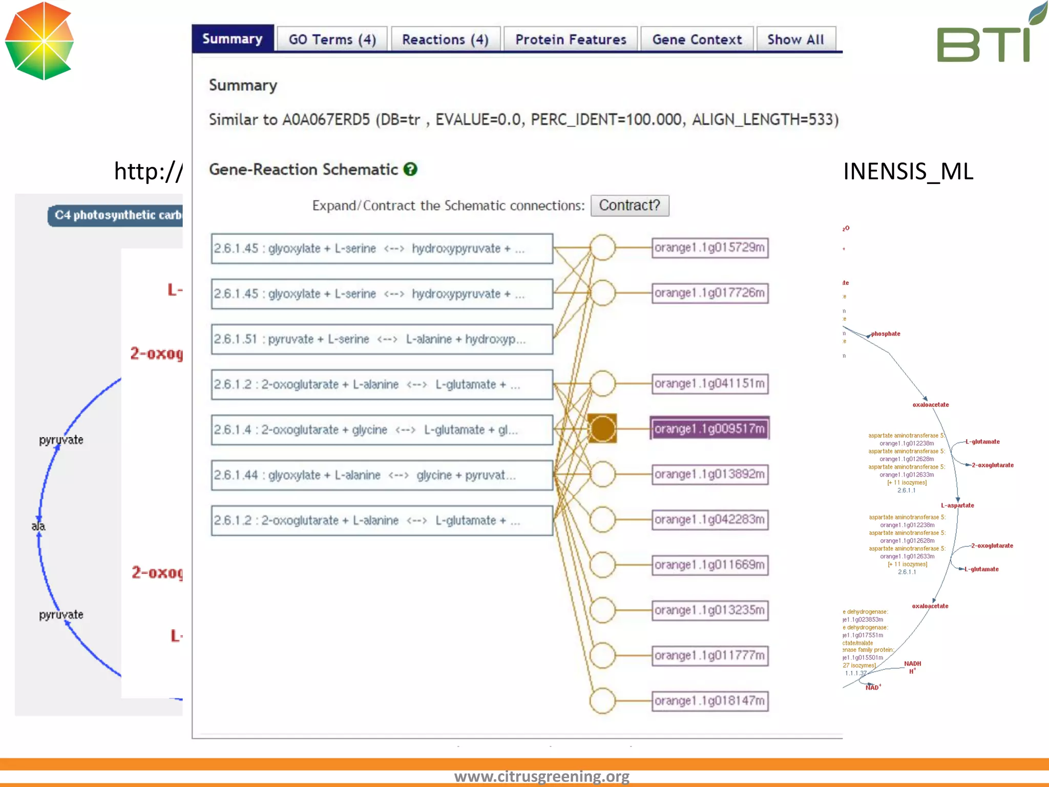 CitrusCyc: Metabolic Pathway Databases for the C. clementina and C ...