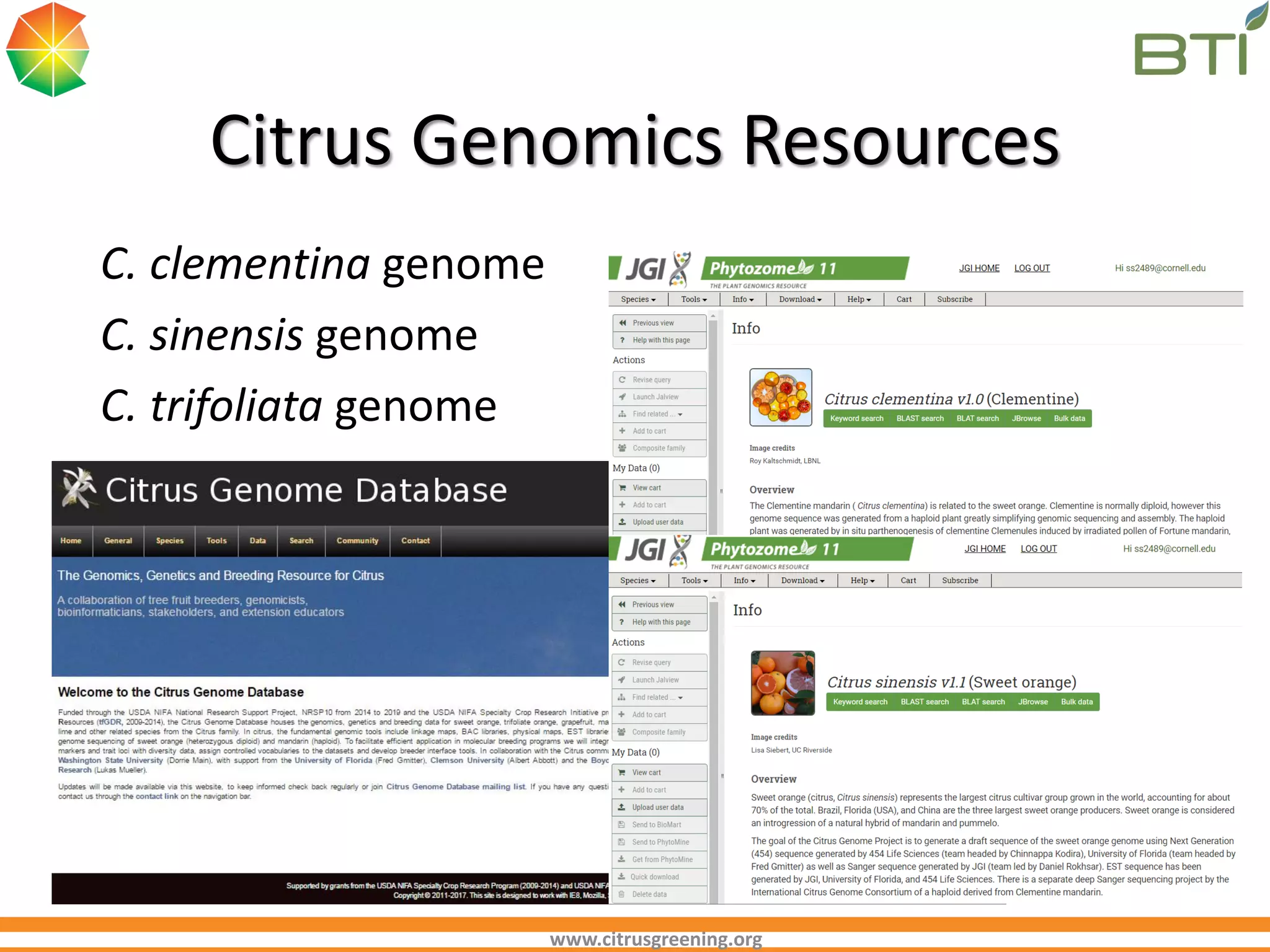 CitrusCyc: Metabolic Pathway Databases for the C. clementina and C ...